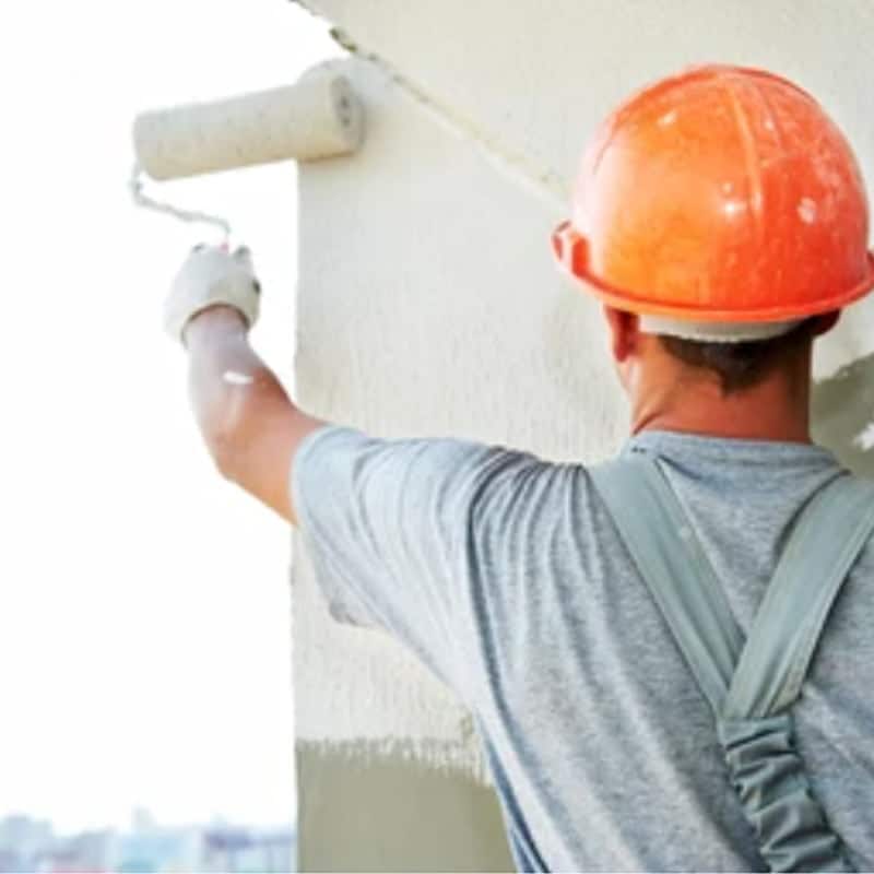 Painter ITP | Instant Download | Builder Assist