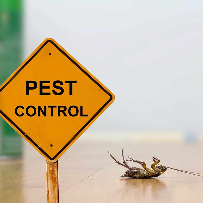 Pest Control Quality Management Plan (QMP)